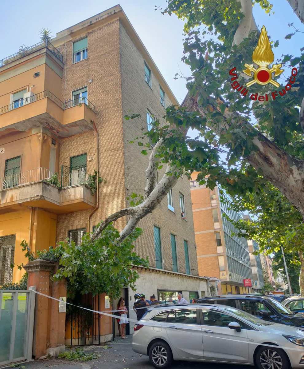 Viale Liegi: crolla un ramo sull’ingresso di un palazzo | lucianamiocchi